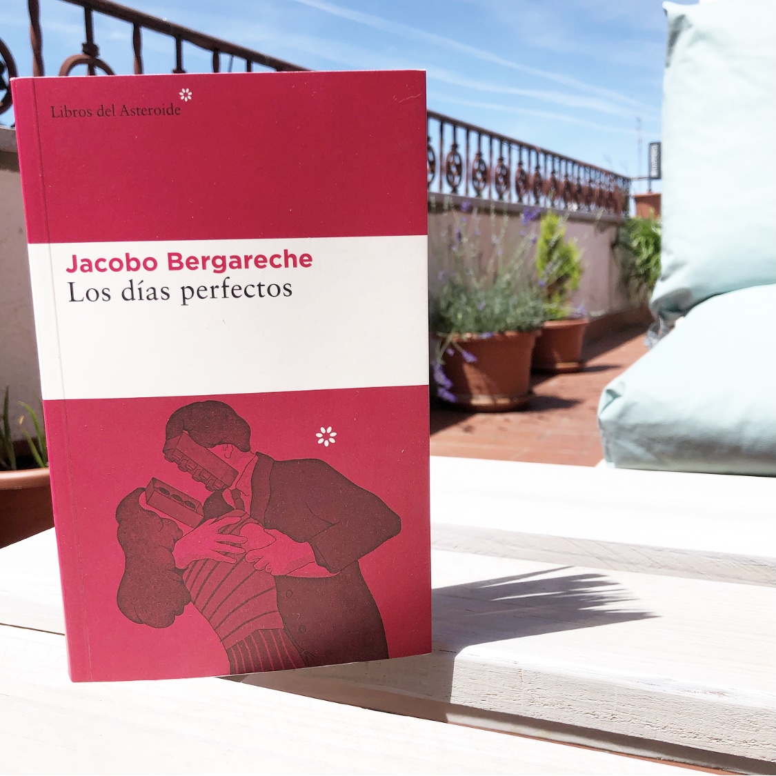 Reseña de Los días perfectos de Jacobo Bergareche – Leer es vivir dos veces